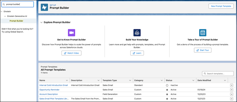 Enable Prompt Builder