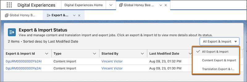 Manage Export and Import Content and Translation Details