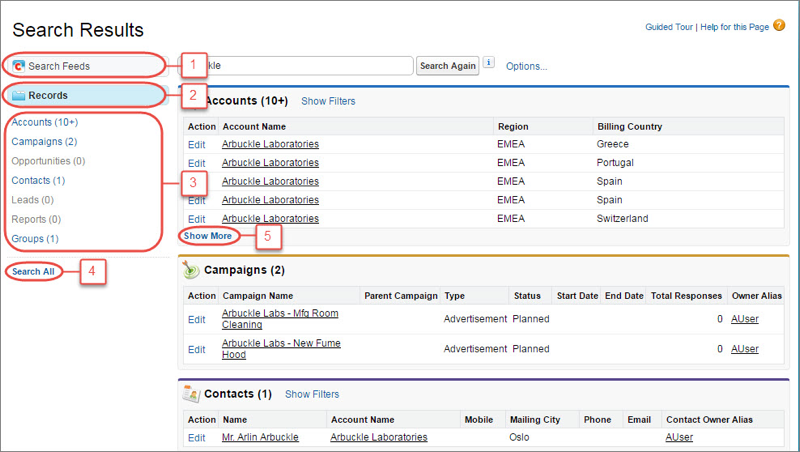 Search for Records in Salesforce Classic