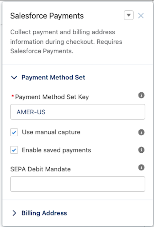 Add Salesforce Payments Features to Store Checkout