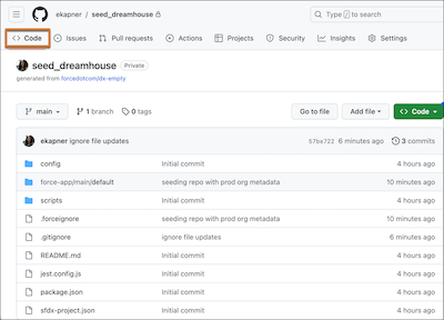 Add the Local DX Project Files to the GitHub Repository