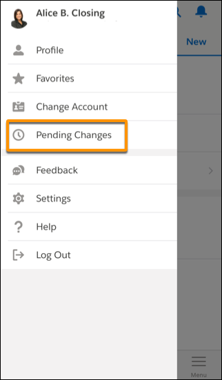 Create Edit And Delete Records In The Salesforce Mobile App While Online Or Offline
