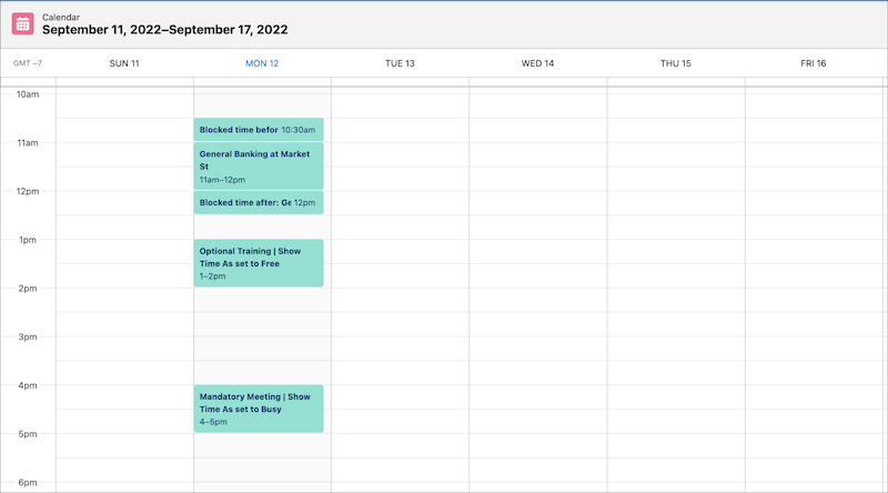 Check Salesforce Calendar to Determine Resource Availability