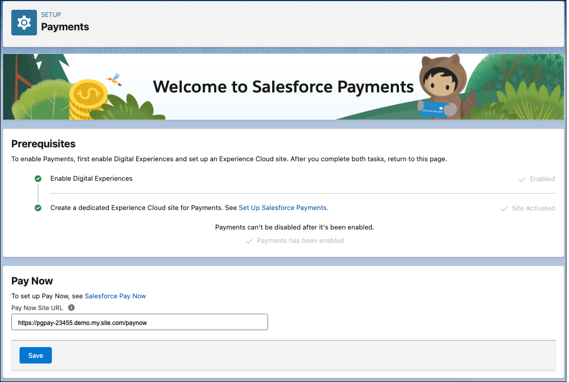 Enable Salesforce Payments